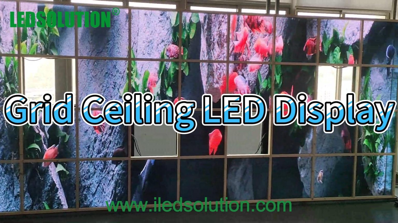 Grid Ceiling LED Display | LEDSOLUTION: LED Display, LED Screen, LED ...